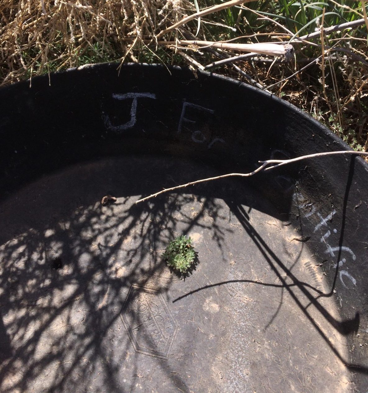 What Happens to BEMP data? - BEMP